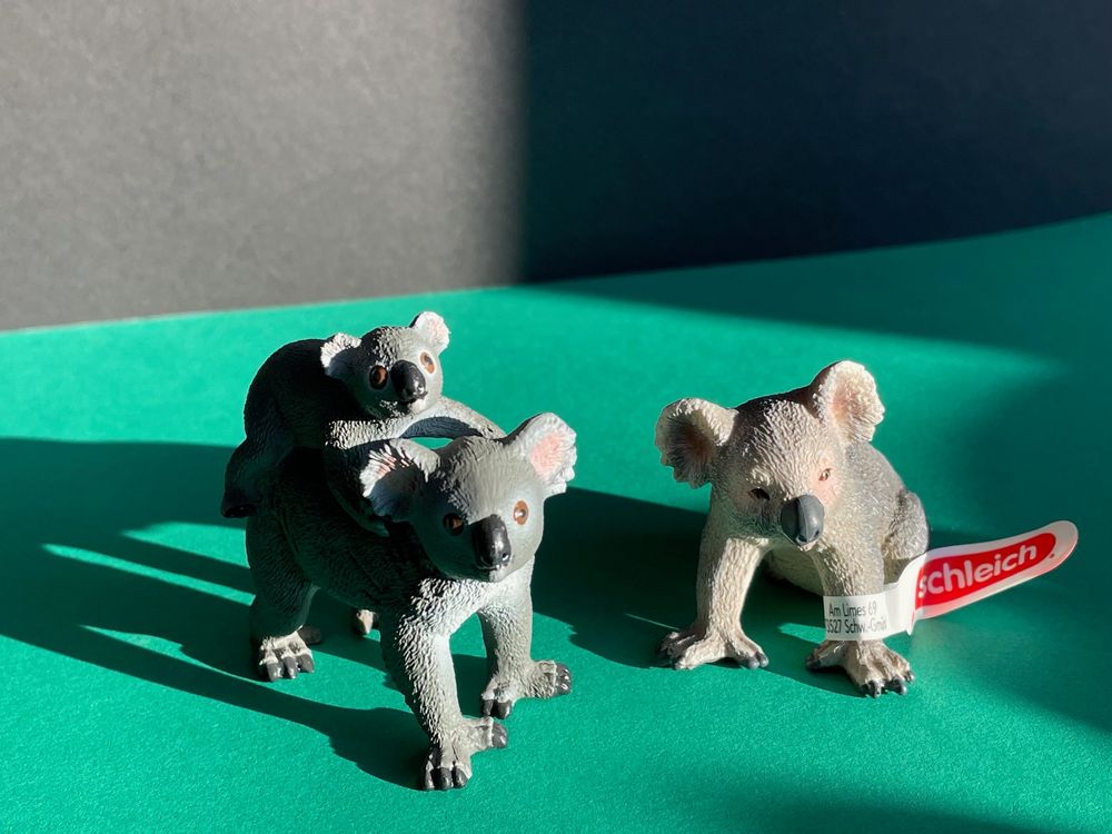 Schleich: Koala-Familie (Neu und originalverpackt) in Heerbrugg für CHF ...