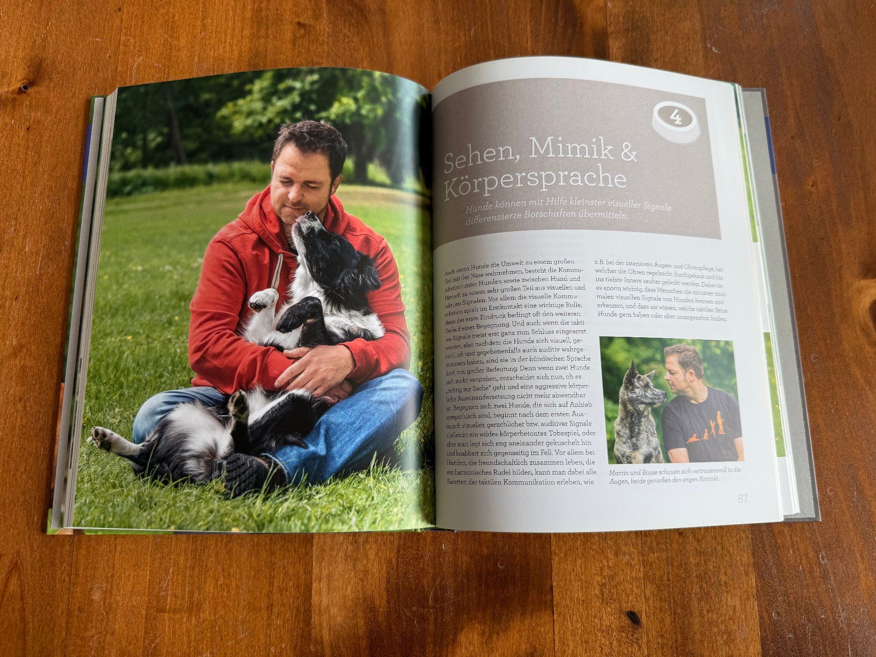 Sprachkurs Hund mit Martin Rütter - wie neu! (Gebraucht) in Wattwil für ...
