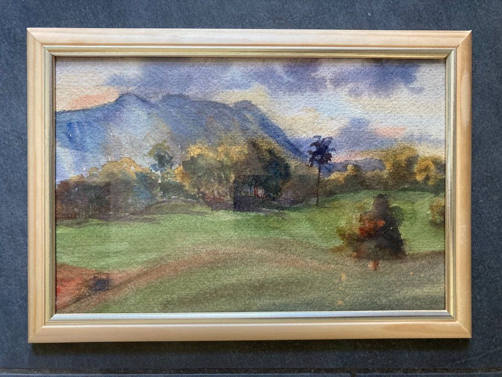 Aquarell Landschaft im Kanton Zürich nicht signiert Gemälde | Kaufen auf Ricardo