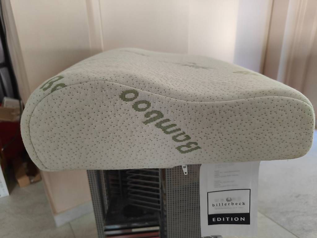 Oreiller anatomique avec fourre en bambou (Neu und originalverpackt) in ...