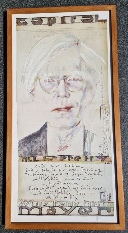 Horst Janssen "Andy Warhol" Lithographie (Gebraucht) in Hochdorf für ...