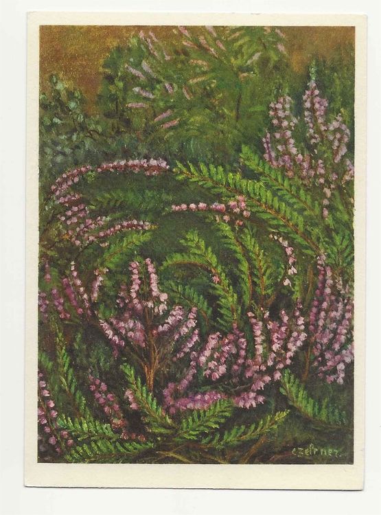 100 Jahre Kaserne Zürich 1976 pg | Kaufen auf Ricardo