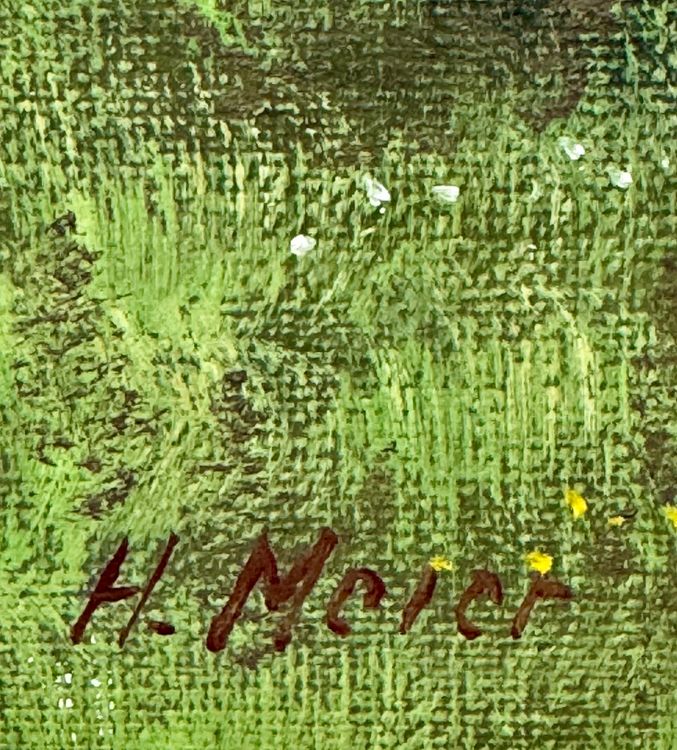 Grosses Landschaft Gemälde von H.Meier (Gebraucht) in Root für CHF 35 ...