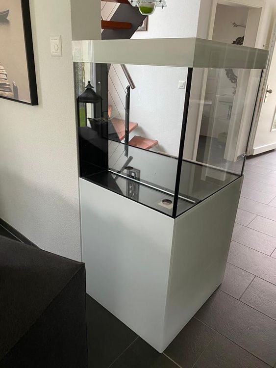 Meerwasser Aquarium 120x60x60 (Neu (gemäss Beschreibung)) in Berikon für CHF 4470 – nur Abholung ...