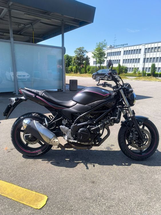 Suzuki SV 650 – das perfekte Motorrad für Einsteiger. (Gebraucht) in ...