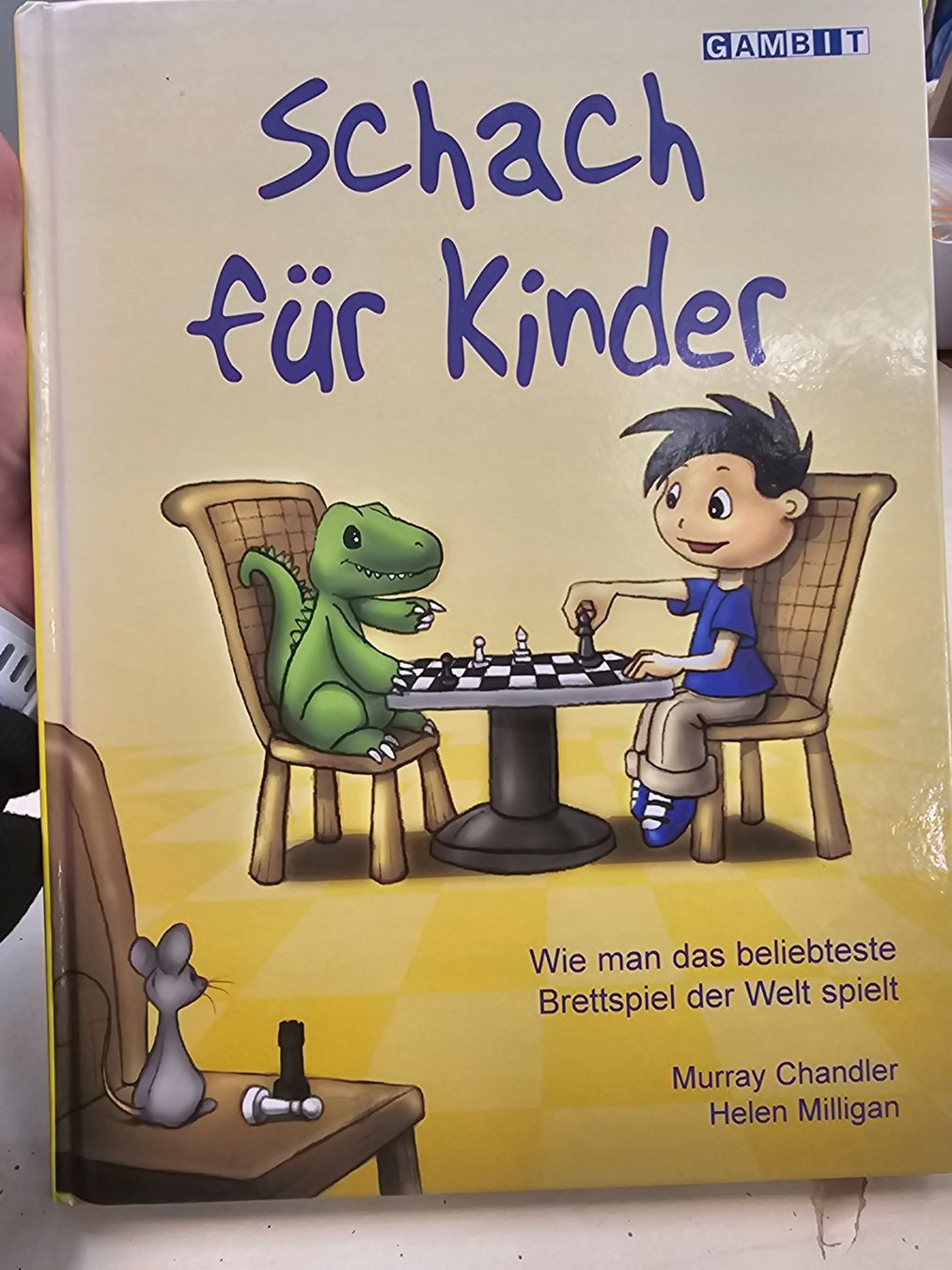 Schach für Kinder – spielerisch Schach lernen im Sommer! (Gebraucht) in ...