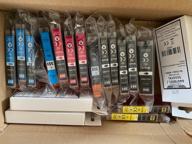 lot de cartouches CLI-551 et 550 pour Canon Pixma (Gebraucht) in ...