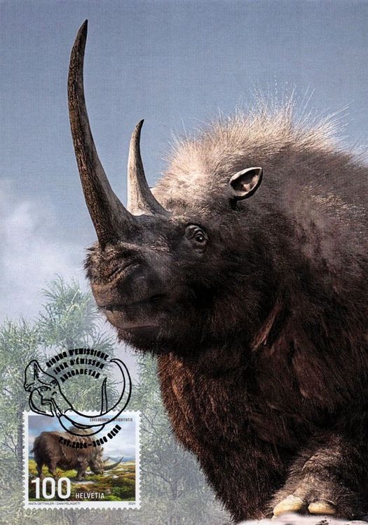 Maximumkarte Riesen der Eiszeit - Wollnashorn (Neu (gemäss Beschreibung)) in Dottikon für CHF 4 ...