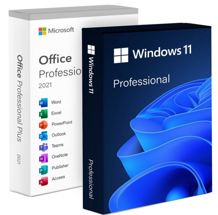 Bundle Deal: Windows 11 Pro & Office Pro Plus 2021 - 1 PC (Gebraucht ...