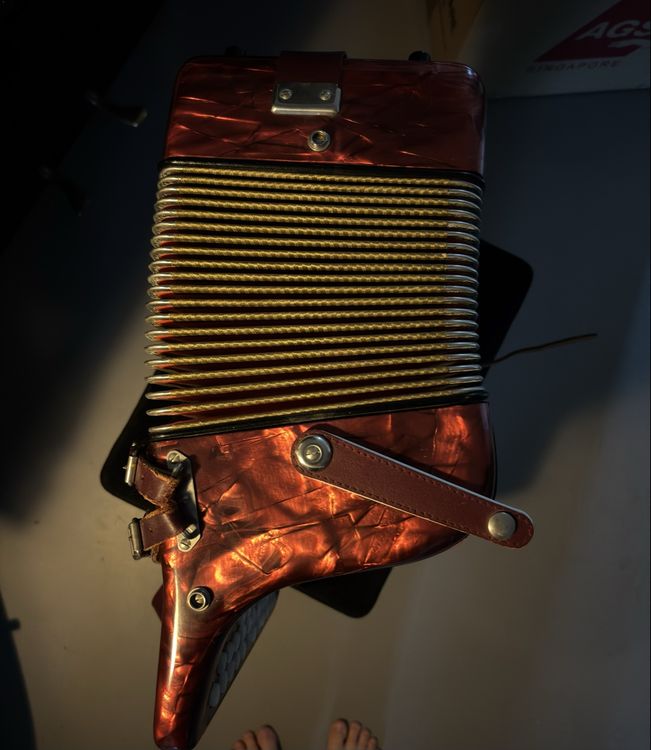 Hohner Club IIB Victoria Akkordeon (Gebraucht) in Zürich für CHF 140 ...