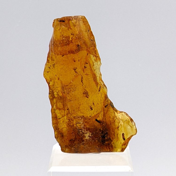 HONIGFARBENER KOPAL-BERNSTEIN mit MÜCKEN und INSEKTEN (Neu (gemäss Beschreibung)) in Balerna für ...