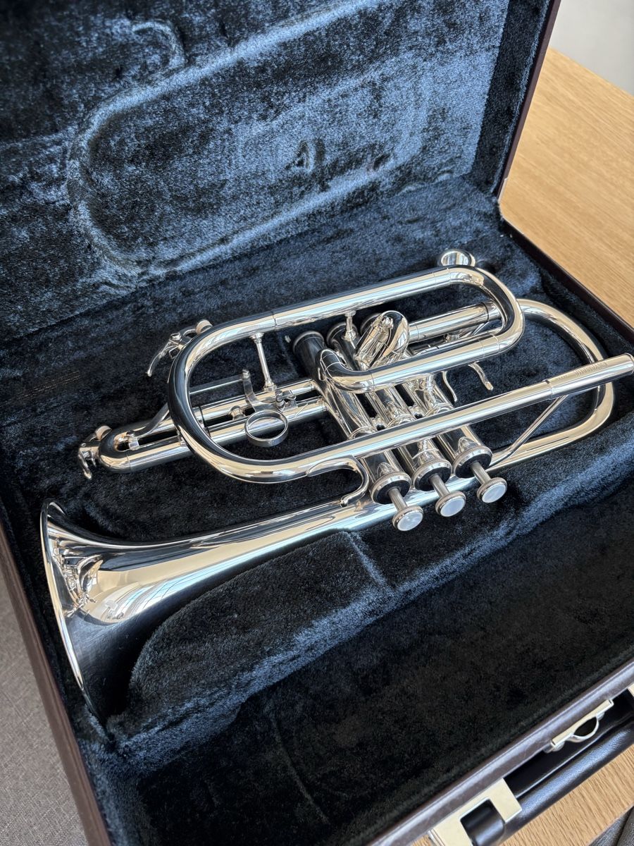 Yamaha YCR-6330 ST Kornett (Neu (gemäss Beschreibung)) in Neuhausen für ...