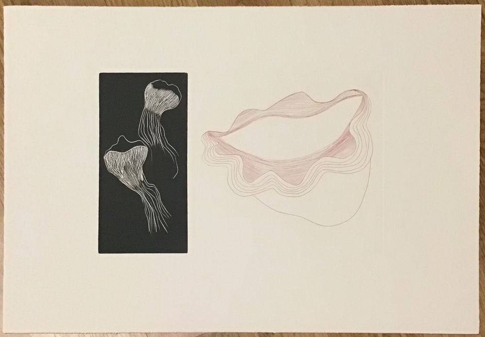 Martina KALCHOFNER Sehr Seltener Radierung Handsigniert | Acheter sur Ricardo