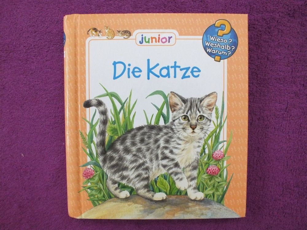 Wieso Weshalb Warum Junior - Die Katze (Gebraucht) in Müllheim Dorf für ...
