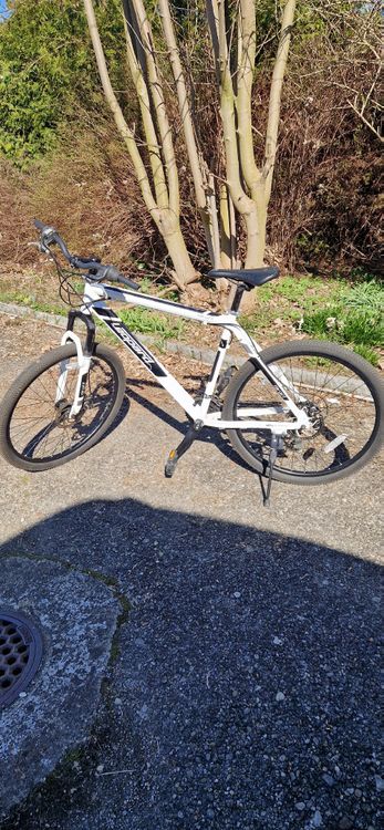 Velo LEOPARD star cat|| (Gebraucht) in Romanshorn für CHF 11 – nur ...