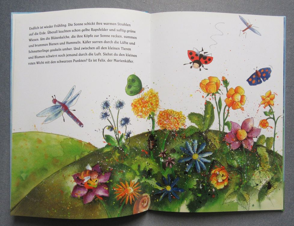 Felix und die Pustelblume - Felix der kleine Marienkäfer (Gebraucht) in ...