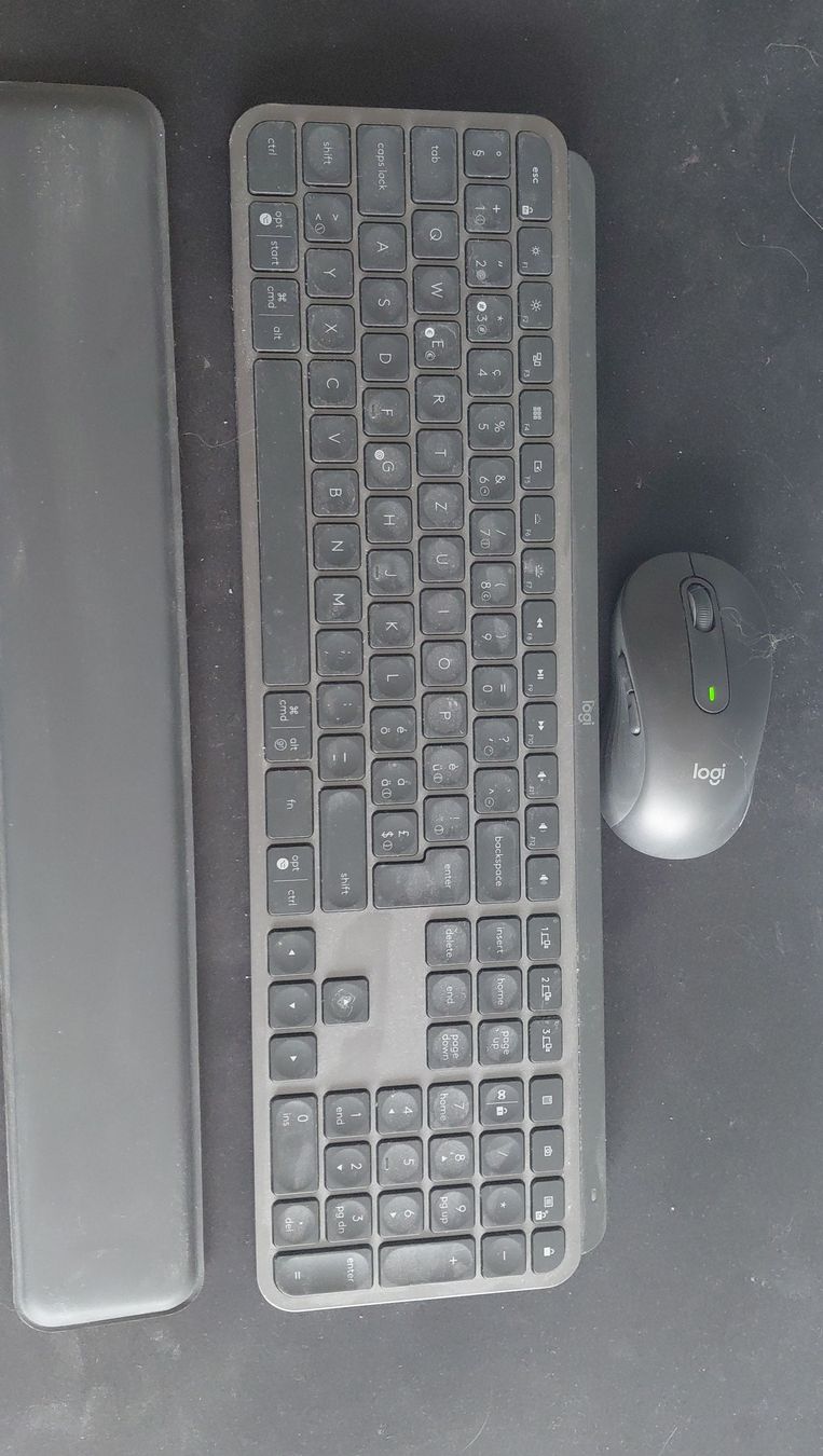 Clavier et souris Logitech MX Keys pour pc, parfait état (Neu (gemäss ...