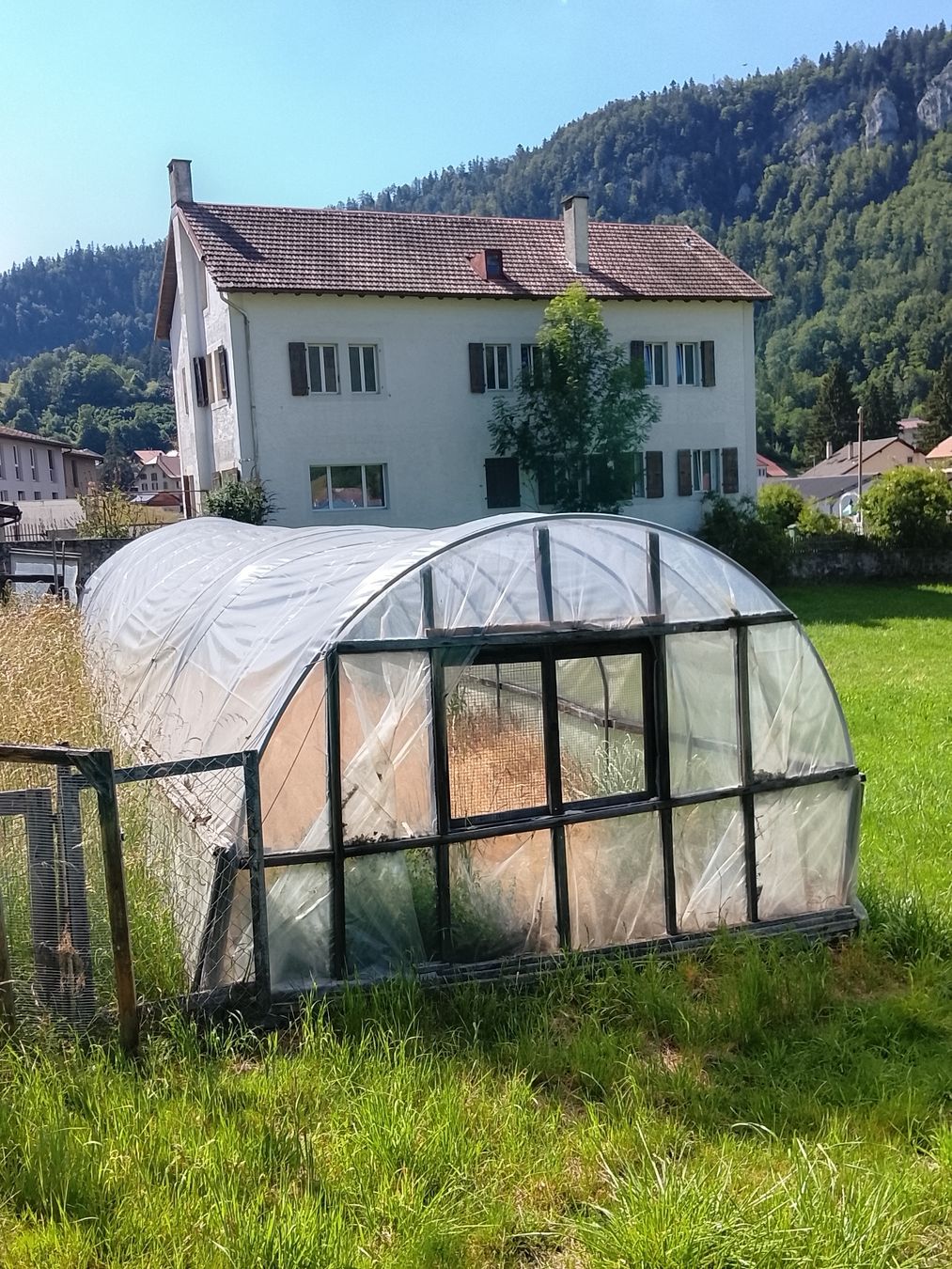 Serre jardin 11m x 3.50m x 2.20m, plastique bon état (Gebraucht) in ...