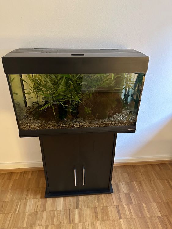 Fabelhafte Aquarium Gebraucht Kaufen Bild
