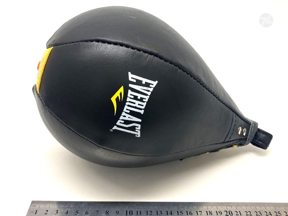 Everlast Punching Ball Speed Bag 4 LBS Leder Boxen MMA (Gebraucht) in ...