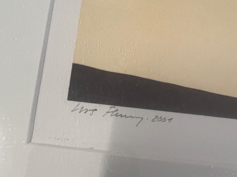 Urs Flury Original Druck | Kaufen auf Ricardo