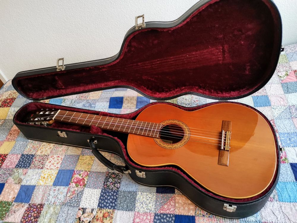 Gitarre | Kaufen auf Ricardo