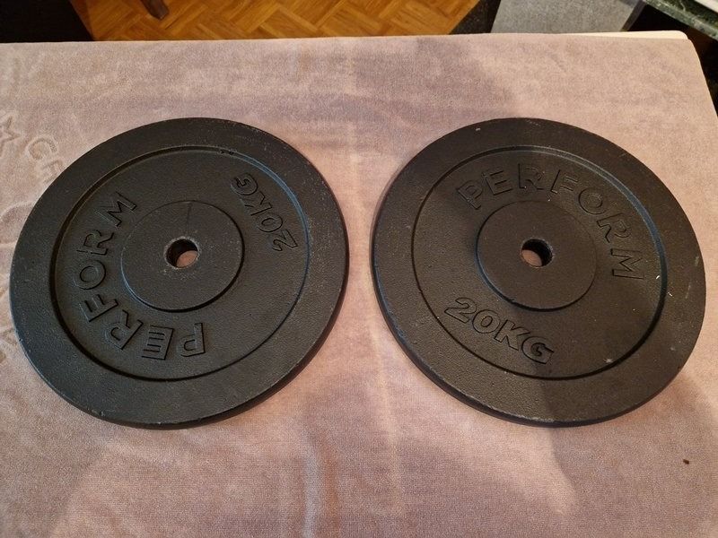 2 disques en fonte de 20 KG Pour Frs 50.- . Top affaire ! (Gebraucht) in Daillens für CHF 50 ...