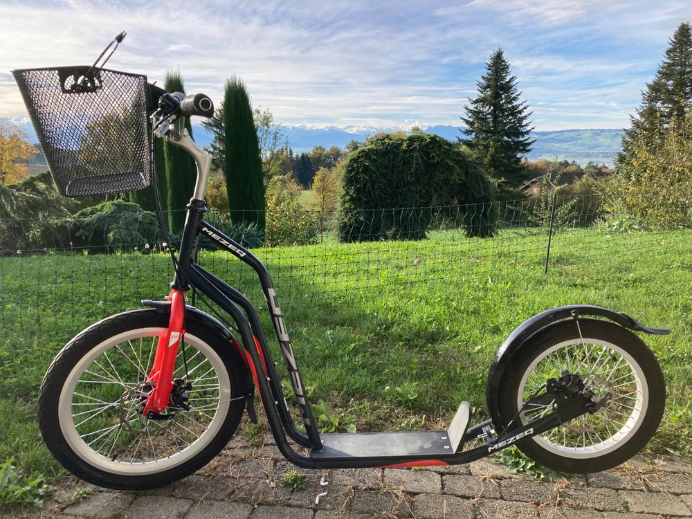 Trotti Yedoo Mezeq Disc - Tretroller für Erwachsene (Gebraucht) in Oberwil-Lieli für CHF 84 ...