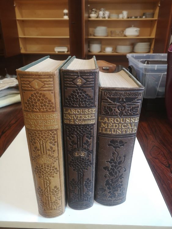 Larousse Universel en 2 Volumes - Larousse médical illustré (Gebraucht ...