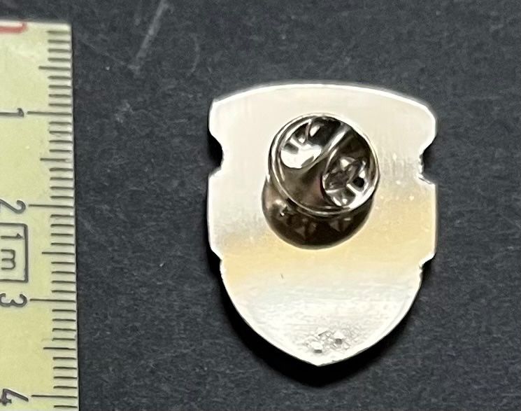 FC Thun/Fussballclub/ BUSINESS CLUB BERNER OBERLAND/Pin (Gebraucht) in ...