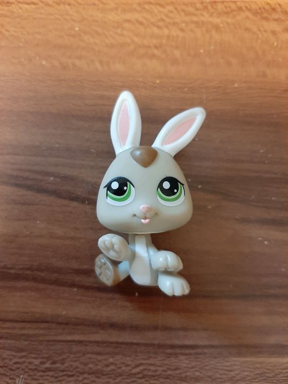 LPS Littlest Pet Shop Tan brown Bunny #1334 (Gebraucht) in Rickenbach ...