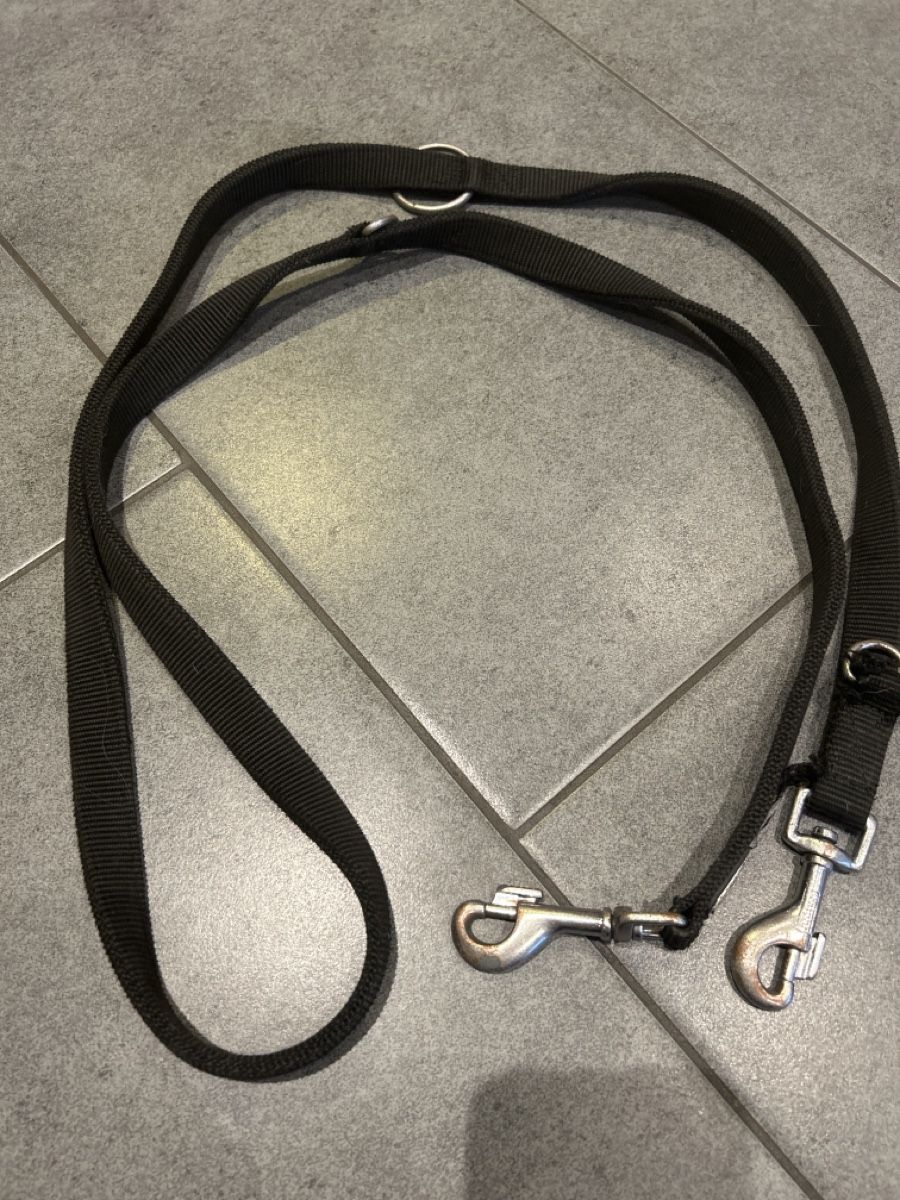 Hundeleine 2 m lang schwarz AniOne (Gebraucht) in Mühledorf SO für CHF ...