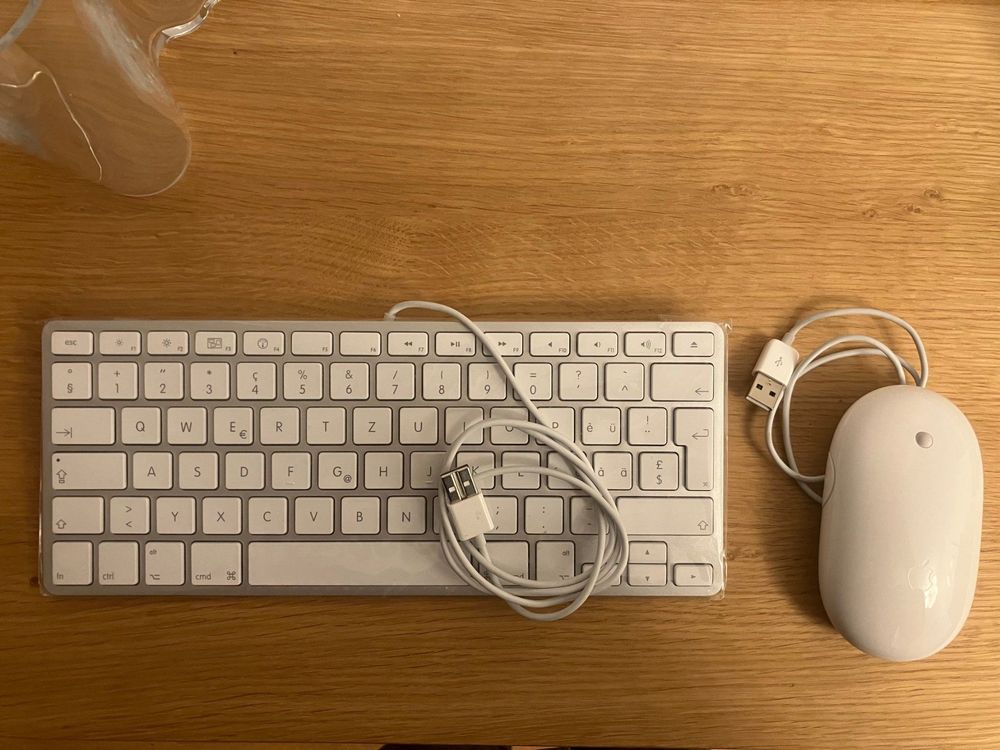 Apple Keyboard A1242 & USB Mighty Mouse A1152 (Gebraucht) in Männedorf ...