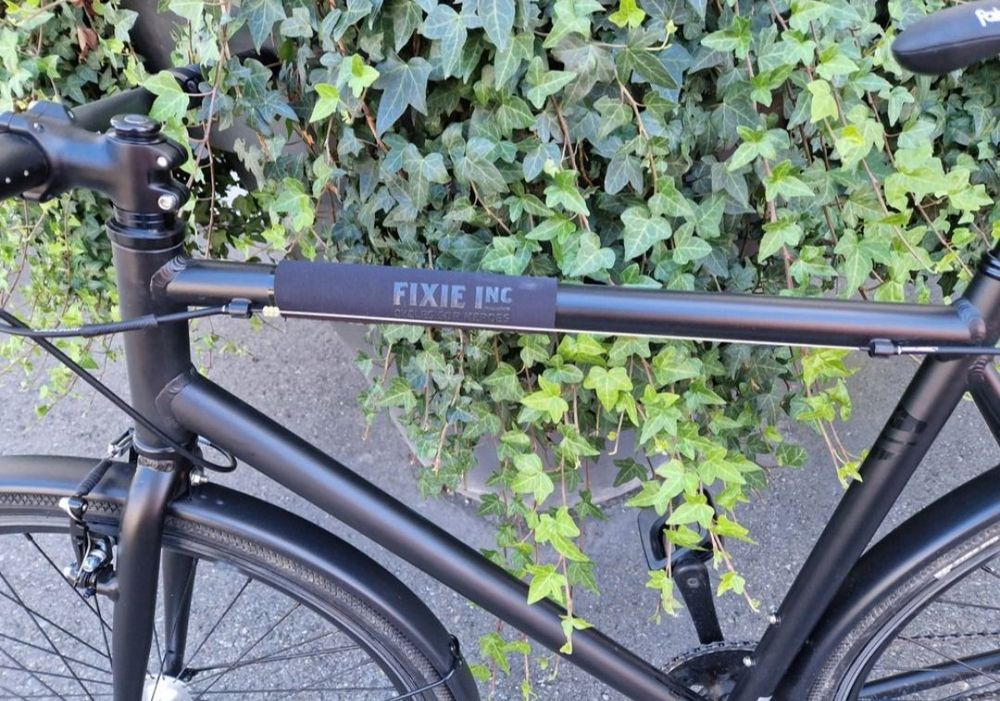 FIXIE INC. BACKSPIN ZEHUS 2021 (Neu (gemäss Beschreibung)) in Oberhasli ...