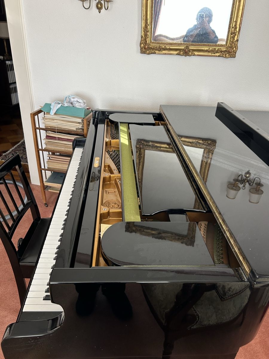 Piano à queue C. Bechstein (D'occasion) à Biel/Bienne pour CHF 5000 ...