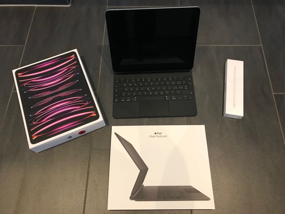 Ipad Pro 12.9-inch 6th Gen. 128gb Wi-Fi Set (Gebraucht) in Deitingen ...