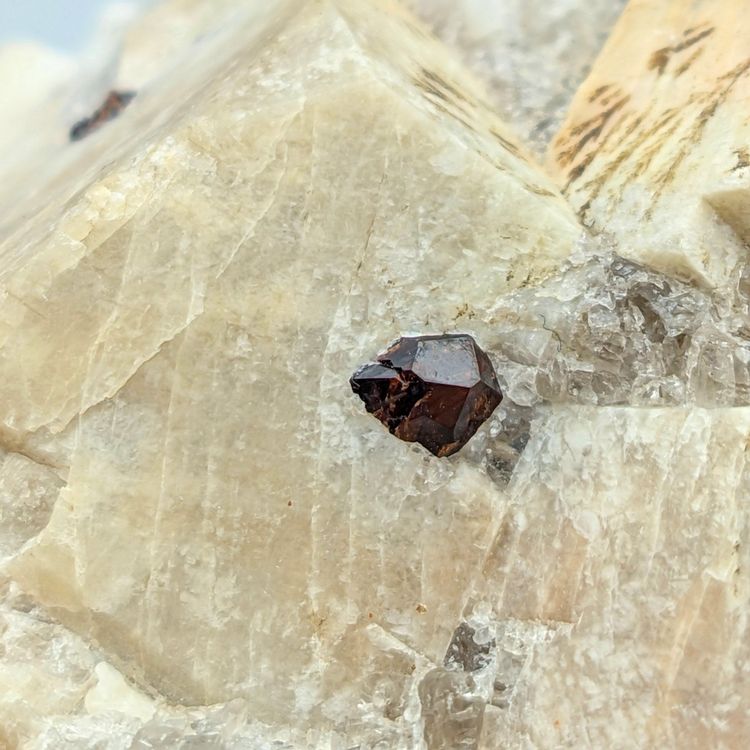 Seltener ALMANDIN-GRANAT in FELDSPAT eingewachsen, Sardinien (Neu (gemäss Beschreibung)) in ...