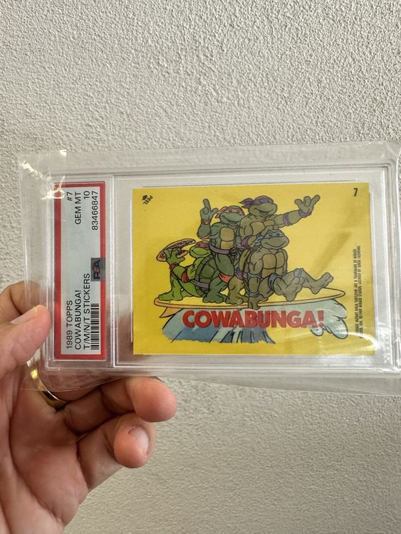 Seltener TMNT Sticker PSA 10 Cowabunga! (Neu (gemäss Beschreibung)) in ...