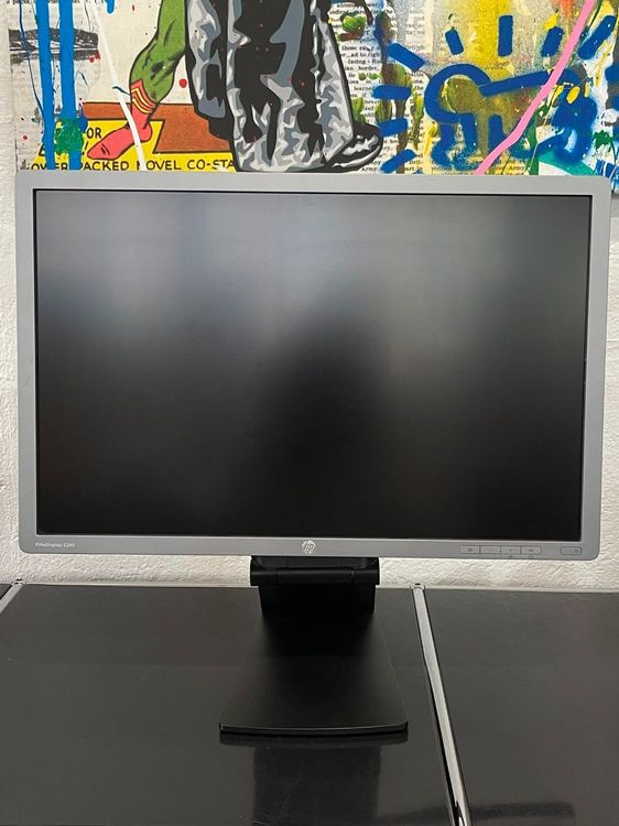 HP EliteDisplay E241i (Gebraucht) in Bern für CHF 42 – mit Lieferung ...