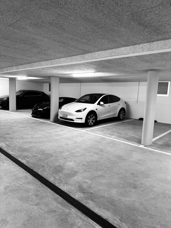 Tesla Model Y | Kaufen auf Ricardo