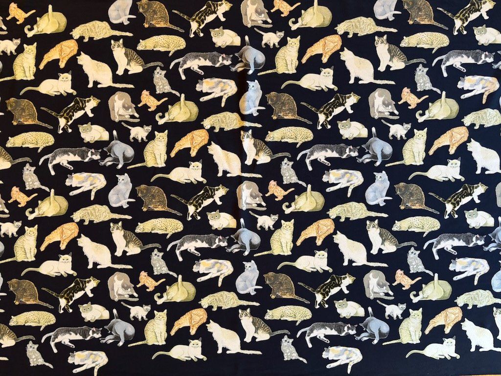 FABRIC FRONTLINE large Foulard avec des Chats (D'occasion) à Zürich ...