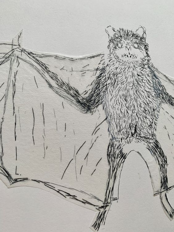 Kiki Smith – Lithographie Bat (Gebraucht) in Regensdorf für CHF 420 ...