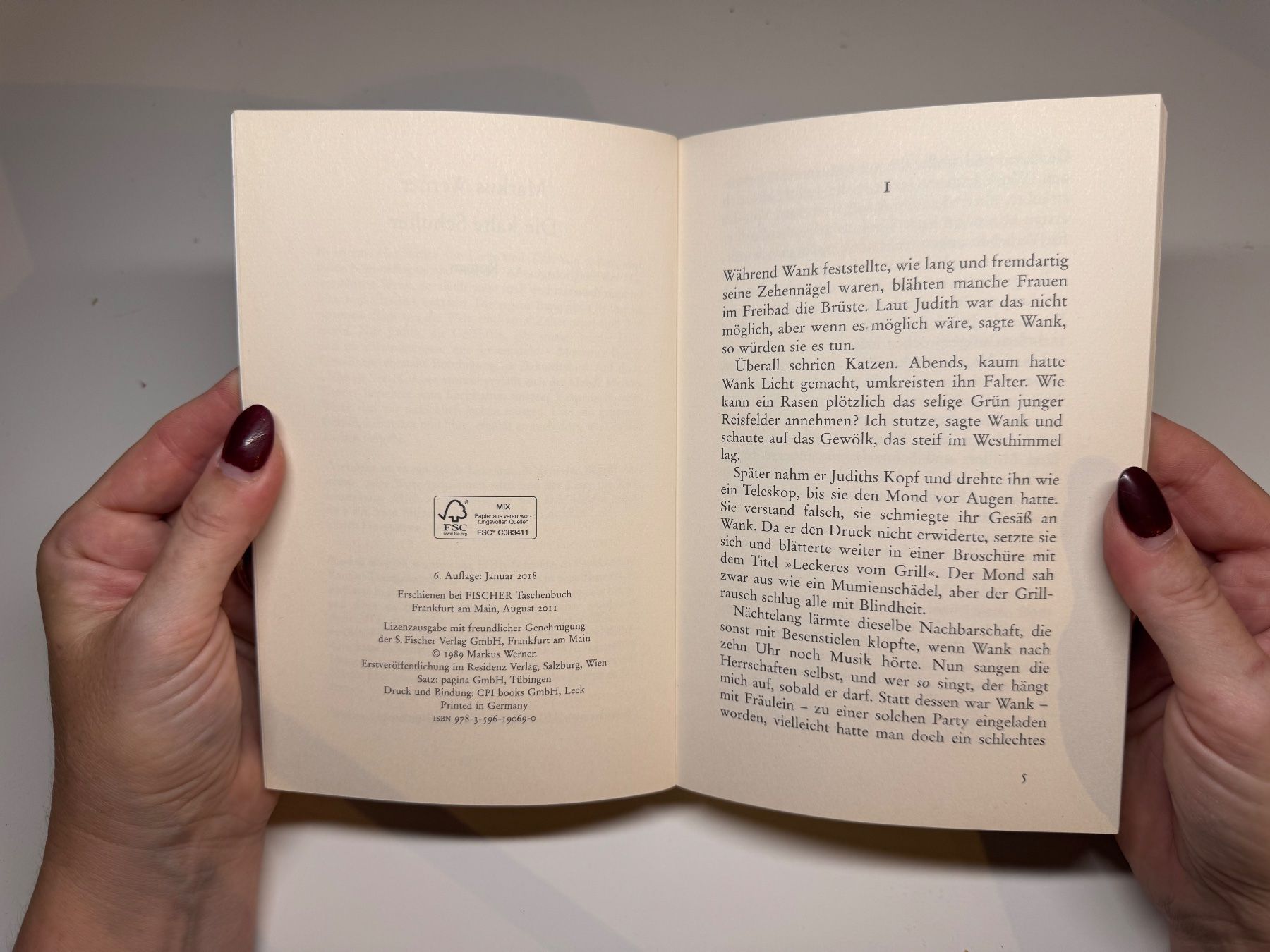 ROMAN: Markus Werner, Die kalte Schulter (Gebraucht) in Grosswangen für ...