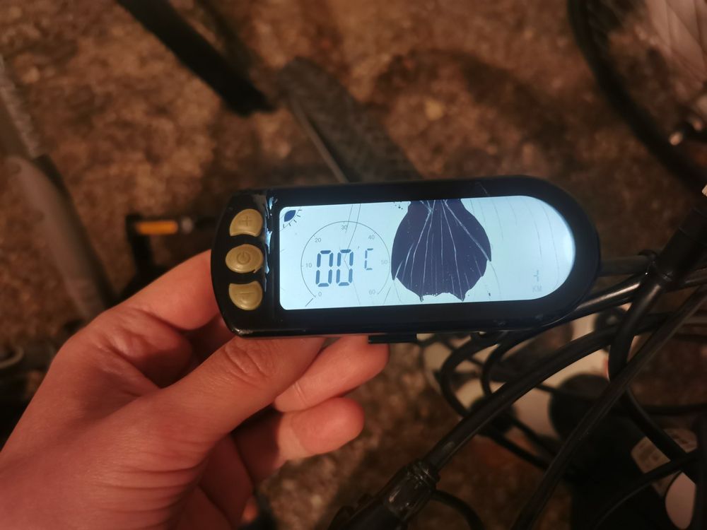 BH Easy Motion Emotion E-Bike Display Konsole (Gebraucht) in Zürich für ...