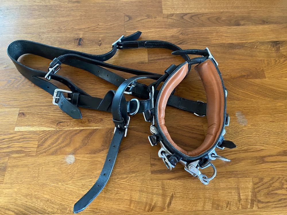 PFERDE ZAUM SCHWARZ (Gebraucht) in Sarmenstorf für CHF 10 – mit ...