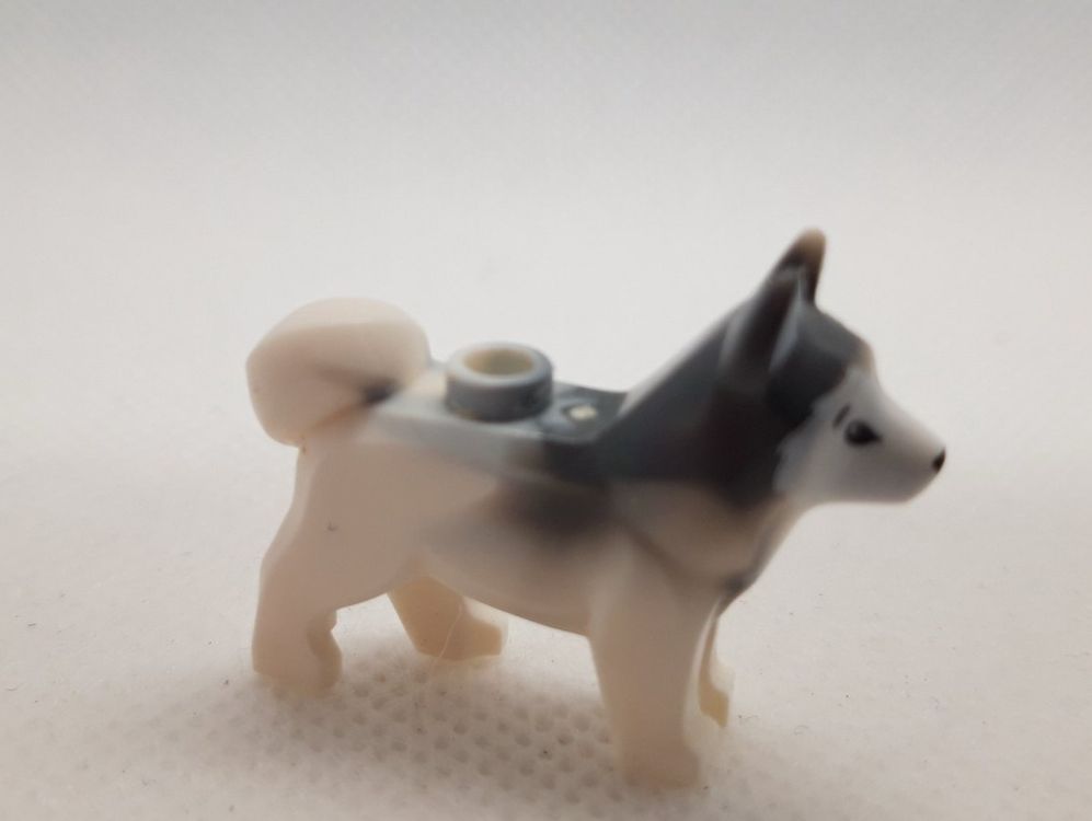 Lego Husky Hund 16606pb001 (Gebraucht) in Inwil für CHF 3 – mit ...