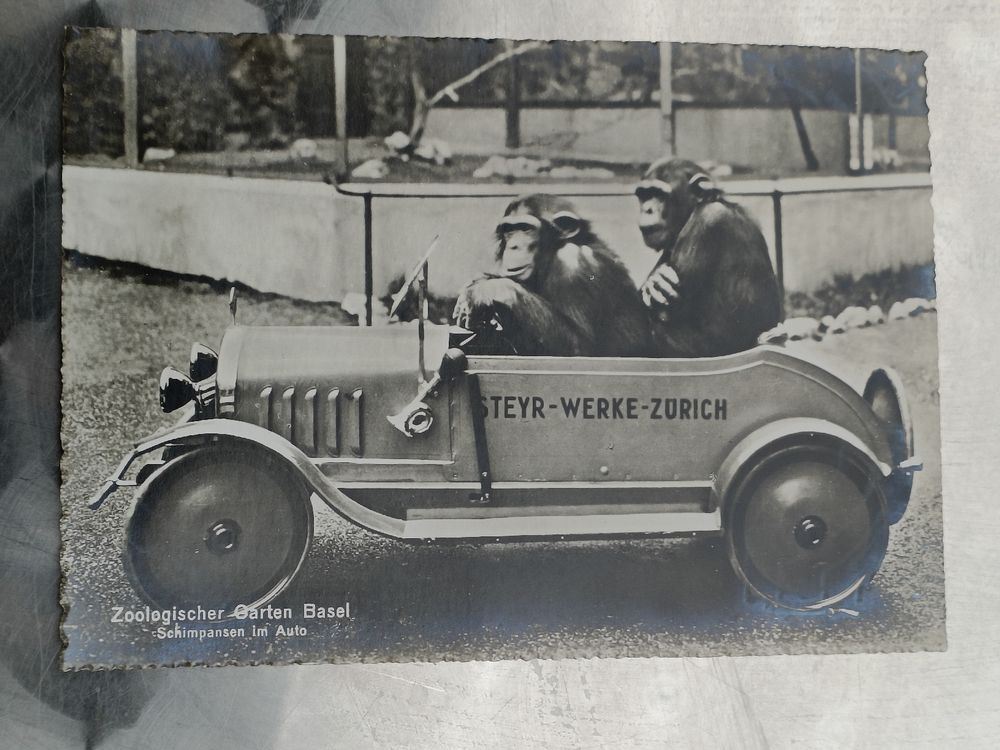 Photo Karte / Zoologischer Garten Basel Schimpansen im Auto | Kaufen auf Ricardo
