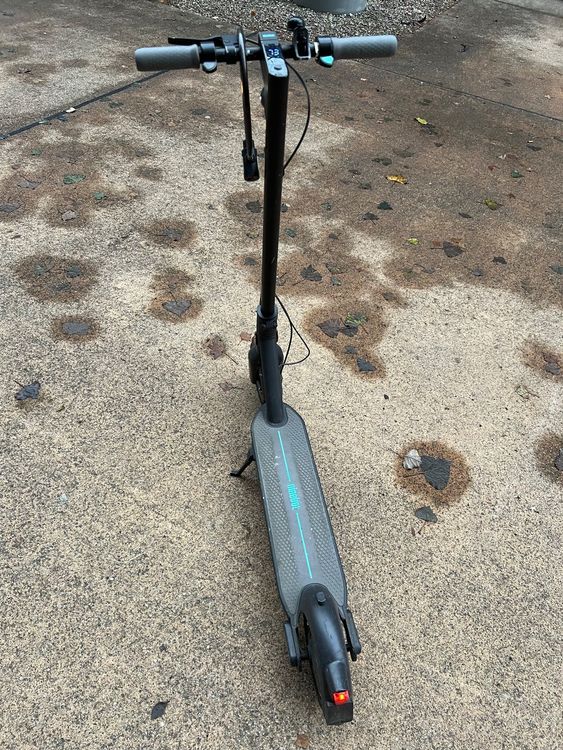 Segway Ninebot KickScooter (eScooter) MAX G30D in Zürich | Kaufen auf ...