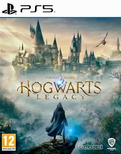 PS5: Hogwarts Legacy (Gebraucht) in Toffen für CHF 45 – mit Lieferung auf Ricardo kaufen