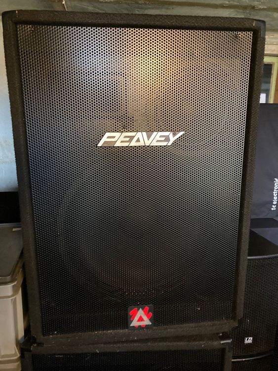 2x Passiv-Boxen Peavey Eurosys 4 | Kaufen auf Ricardo